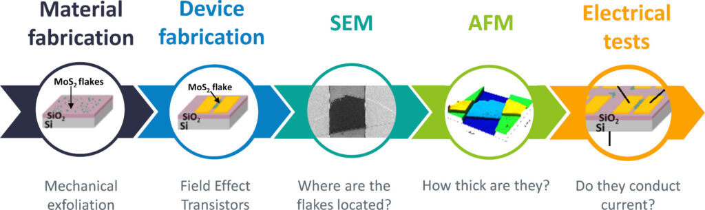 TMD FETs – ASCENT+